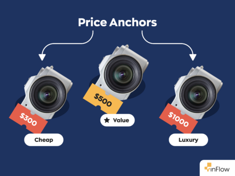 How Price Anchoring Techniques Can Increase Revenue
